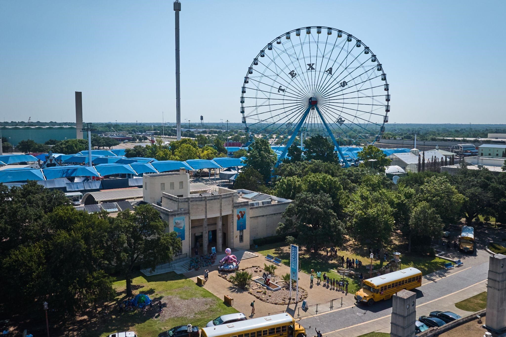 What is a Glowing Fish? Everything to Know About Children’s Aquarium ...
