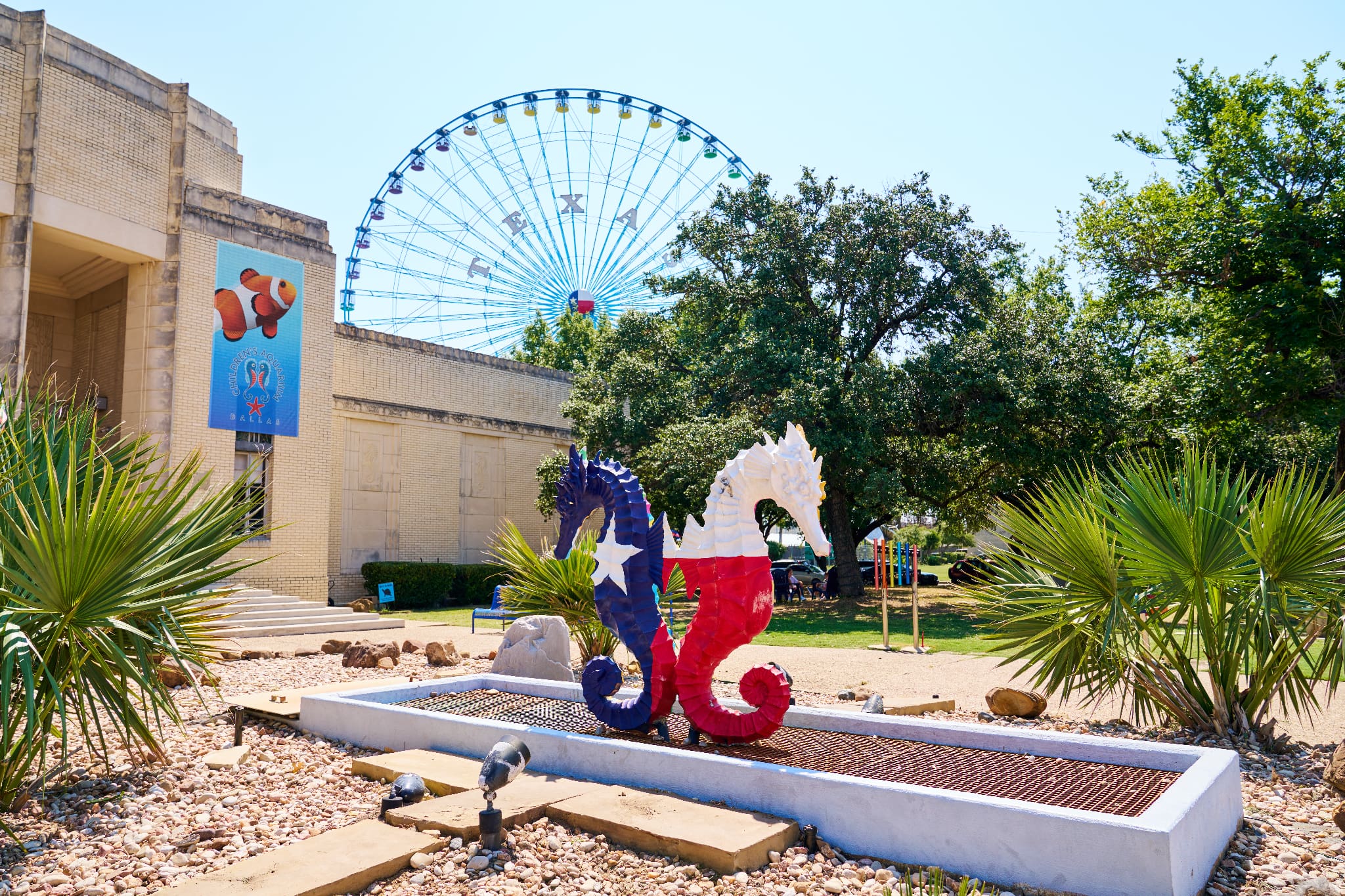 Beyond Sea Life and World Aquariums: Discover Dallas’s Most Interactive ...
